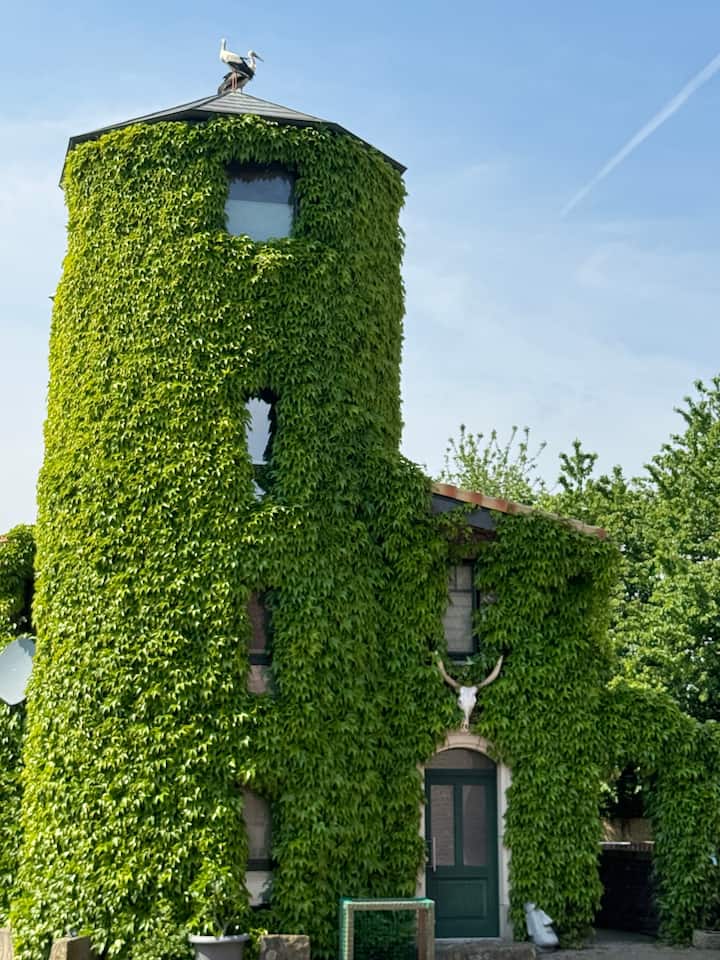 Turm Auf Altem Bauernhof (263772) - Voerde (Niederrhein)