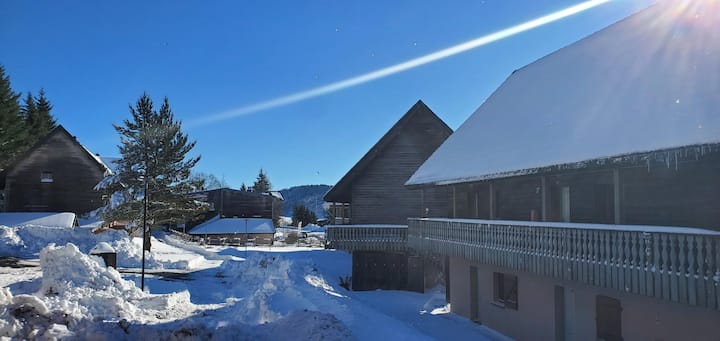 Appartement Calme Proche Lac Et Commerces Bdr 5-3 - Besse-et-Saint-Anastaise