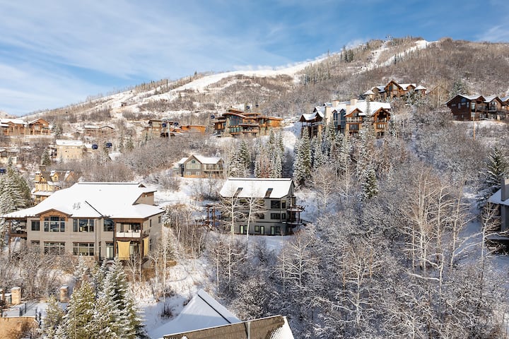 Msiden | A/c | Mtn Home | Winter Shuttle | Views - Steamboat Springs, CO
