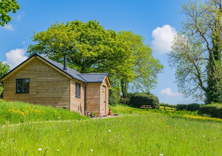 Place Farm Cabin - Okehampton