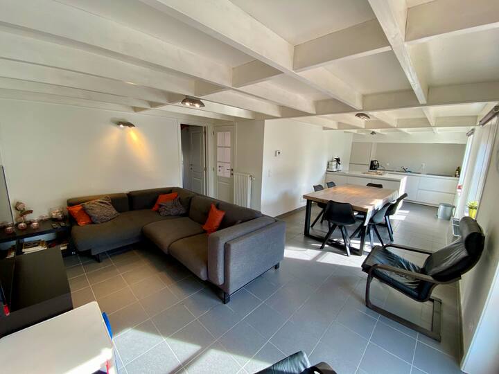 Maison De Pêcheur Confortable Avec Jardin - Nieuport