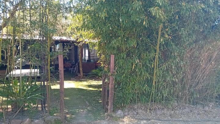 Bungalow éCologique à Puget-sur-argens - Puget-sur-Argens