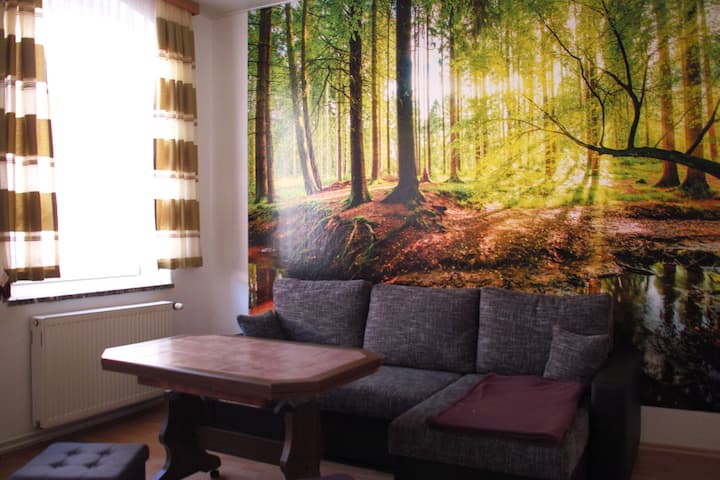 Ferienwohnung Rose - Markneukirchen