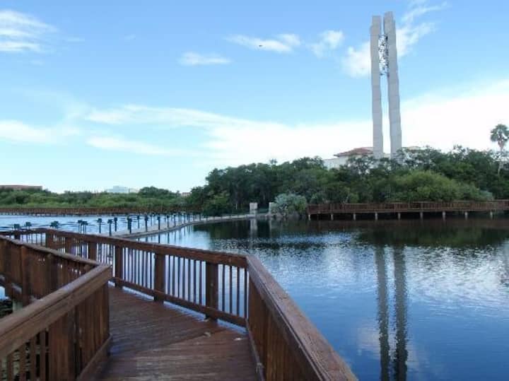 Retreat To Tranquility, 2 Lakefront Units, Parking - St. Petersburg, FL