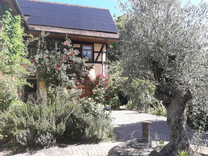 Ferienwohnung Falkenhorst - Groß-Umstadt