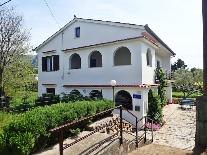 Apartment Sd-195 - Starigrad-Paklenica