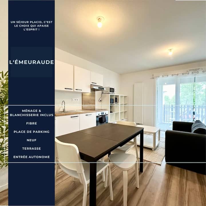 L'émeraude - Proche Hôpital - Parking - Clim - Mont-de-Marsan