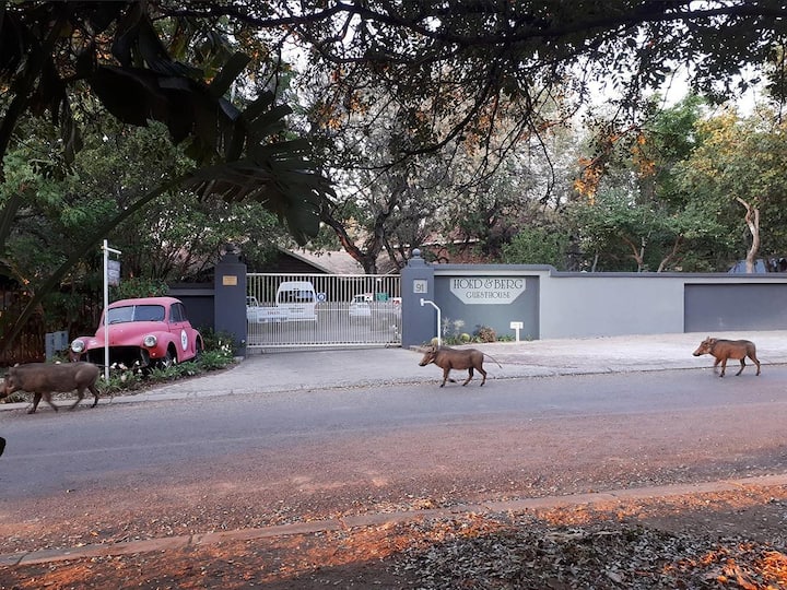 Hoed En Berg Guest House - Family Room - Hoedspruit