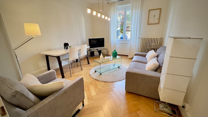 111*  Stylish Apartment In The City Center, Quiet - Lausanne