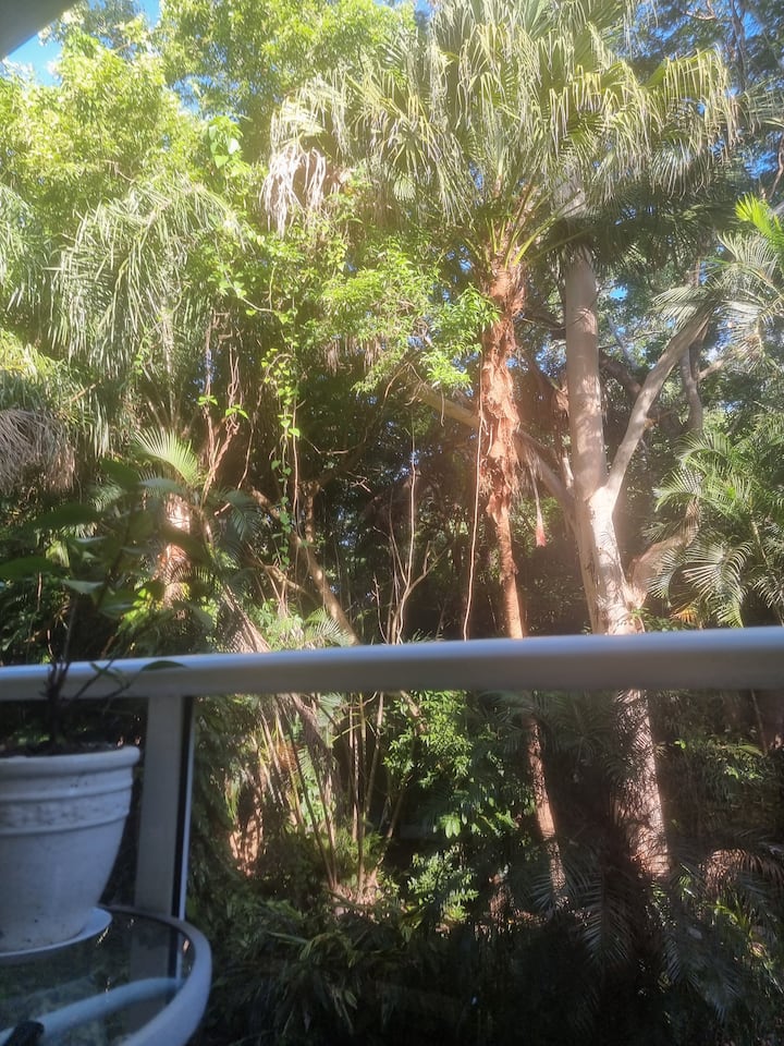 Your Coral Coast Resort Inn - Palm Cove