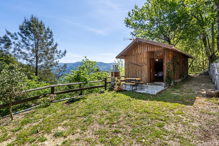Quinta Da Carvalha Bungalow 3 - Vieira do Minho