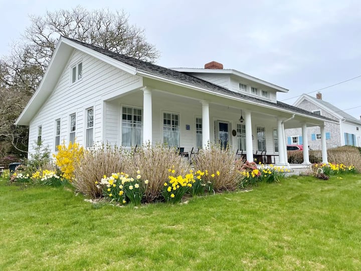 Porch, Paws And Sandy Beaches - Chatham, MA