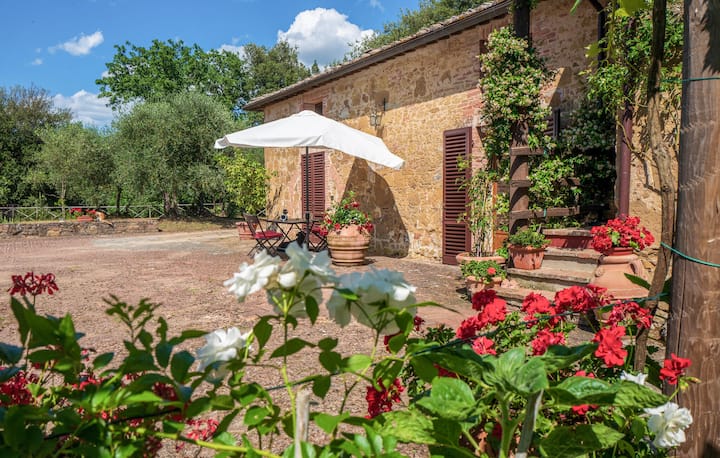 Casa Attilio - Siena