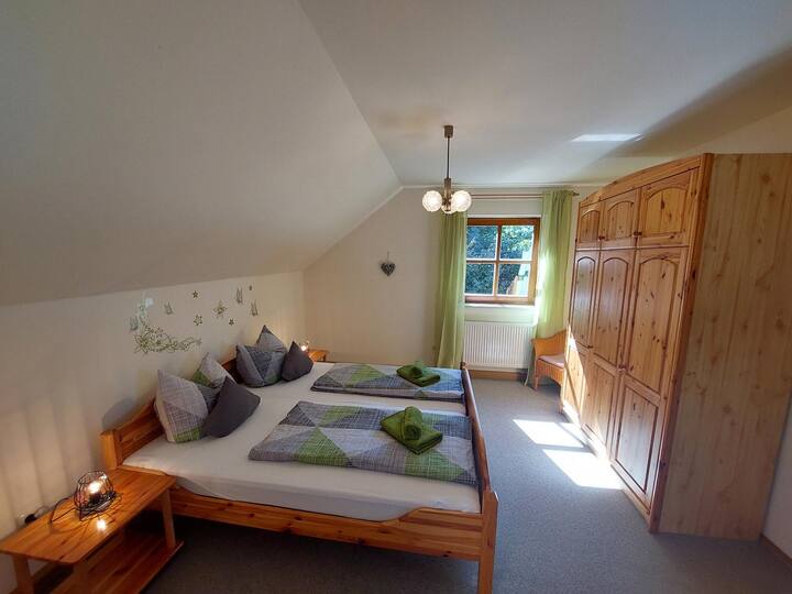 Ferienwohnung Natur - Furth im Wald