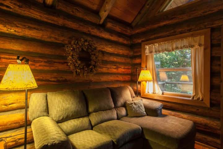 Tenaya Cabin-wellspring Spa - Ashford, WA
