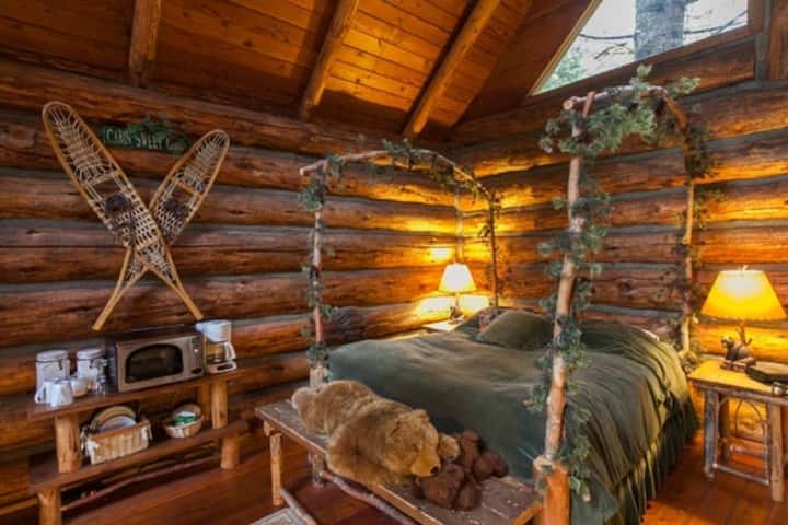 Tenaya Cabin-wellspring Spa - Ashford, WA