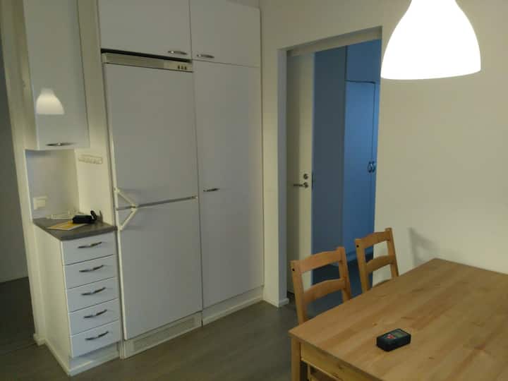 Spacious 1 Bedroom Apt With Kitchen And Sauna - Turku