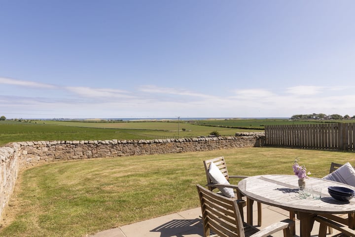 Lyme Grass - Bamburgh