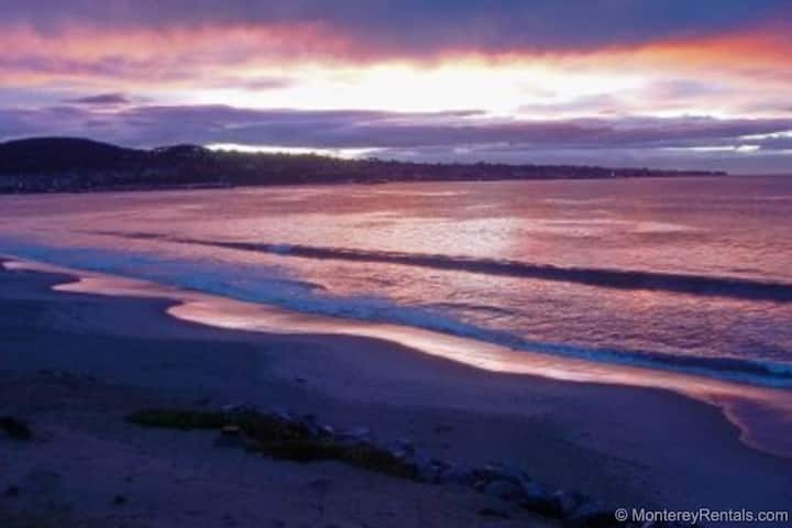 Ocean Harbor 204 - Monterey, CA