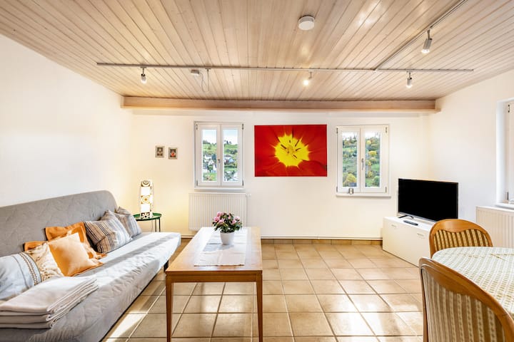 Ferienwohnung Apothekerstube - Altensteig