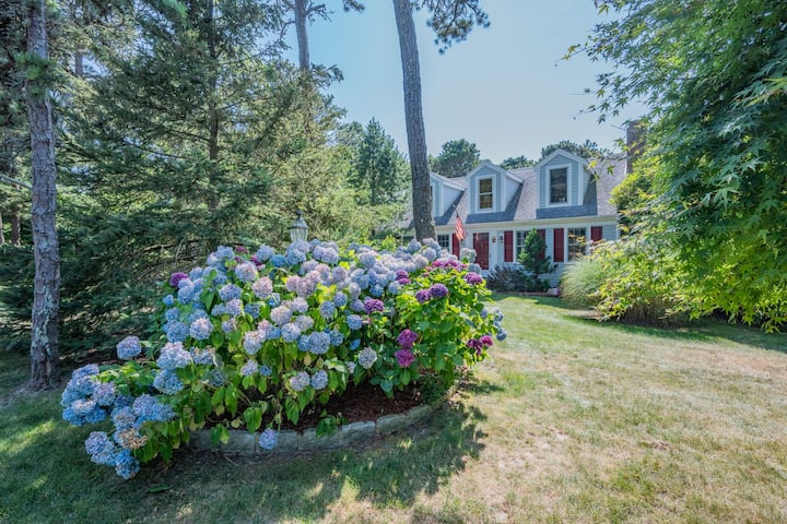 Perfectly Content: Walk To Schoolhouse Pond - Chatham, MA