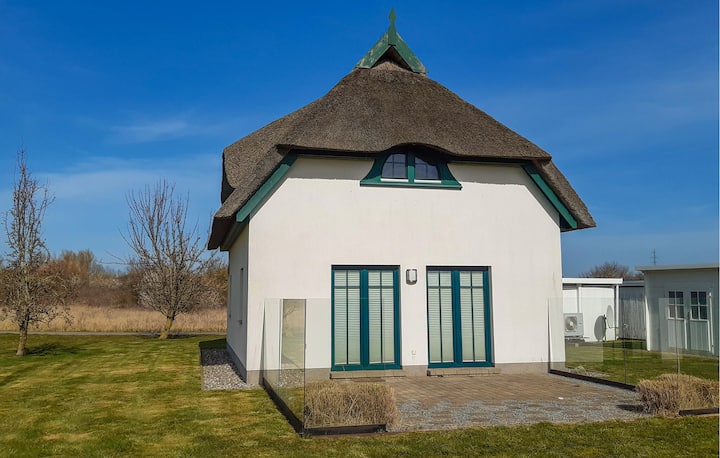 Pet Friendly Home In Trent With Wifi - Trent