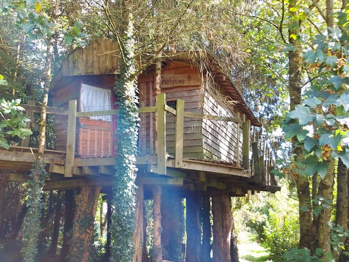 Guestroom Saint-thomas-de-courceriers, 1 Pièce, 5 - Évron