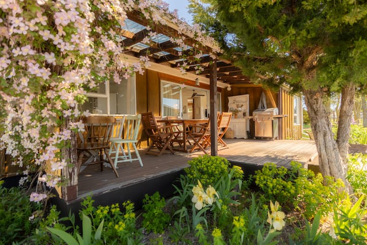 Twizel Timeout, Free Wifi - Twizel