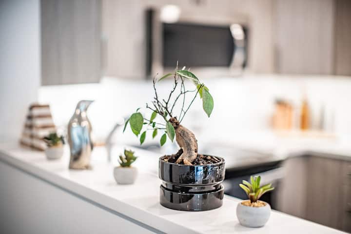 L’austin Rêve: 3br Hot Tub & Garage–2 Min From Rmr - Revelstoke