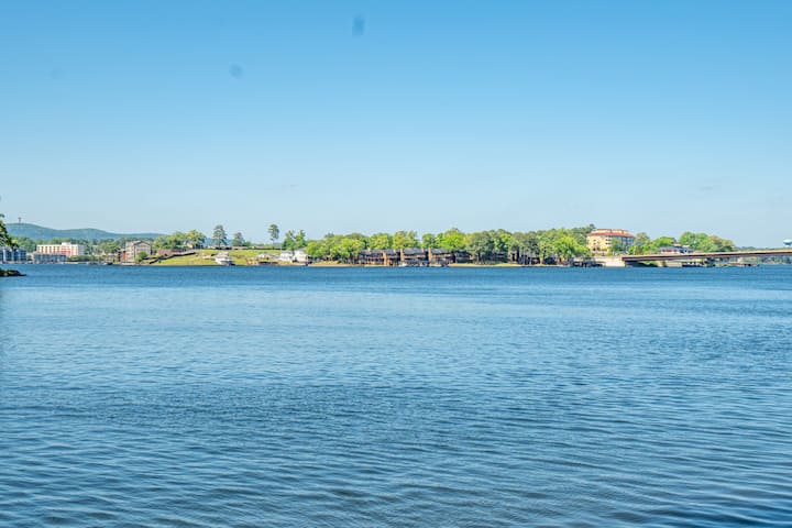 Waterfront Paradise @ Southshore On Hamilton! - Lake Hamilton, AR