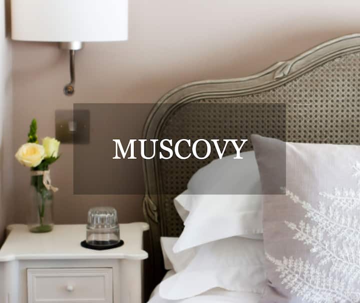 Muscovy - The Fuzzy Duck, Armscote - 코츠월드