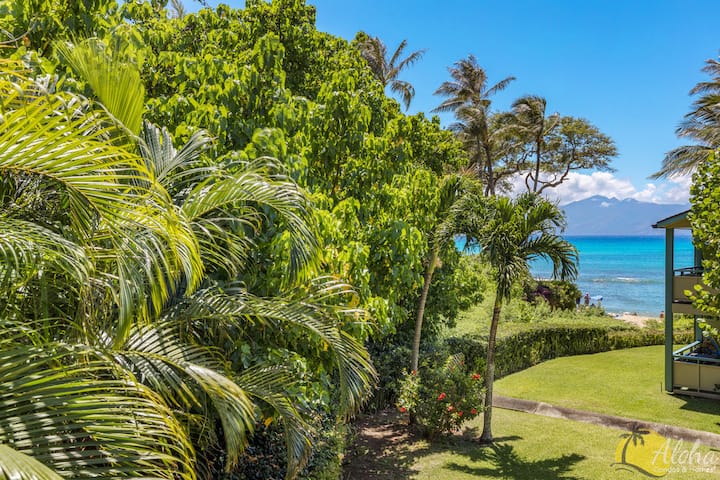 Napili Bay Resort Condo 217 - Aloha Condos - Kapalua, HI