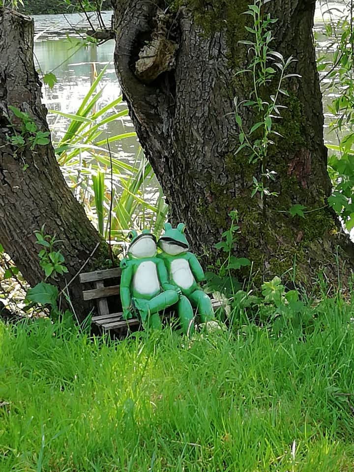 Am Froschteich - Feldberger Seenlandschaft