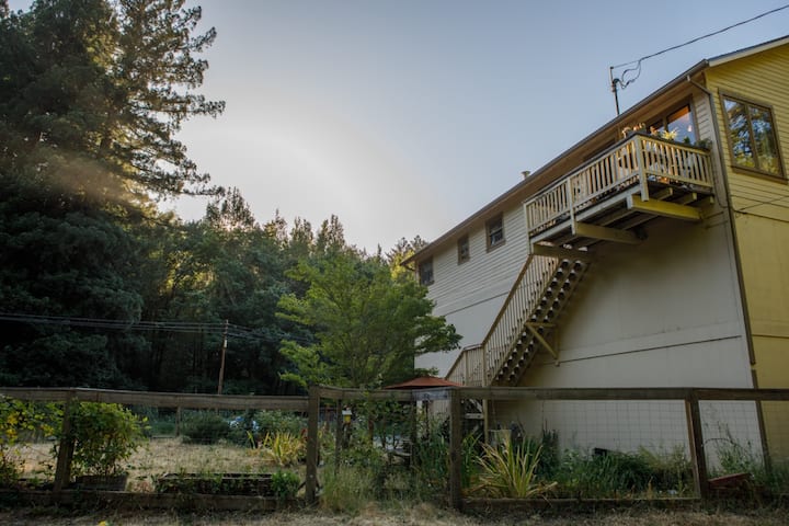 Creekside Cozy 2br 1ba + 2 Acres - Monte Rio, CA
