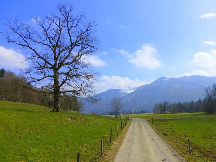 Ruhige Ferienwohnung 44qm Mit Balkon Und Bergblick - Ruhpolding