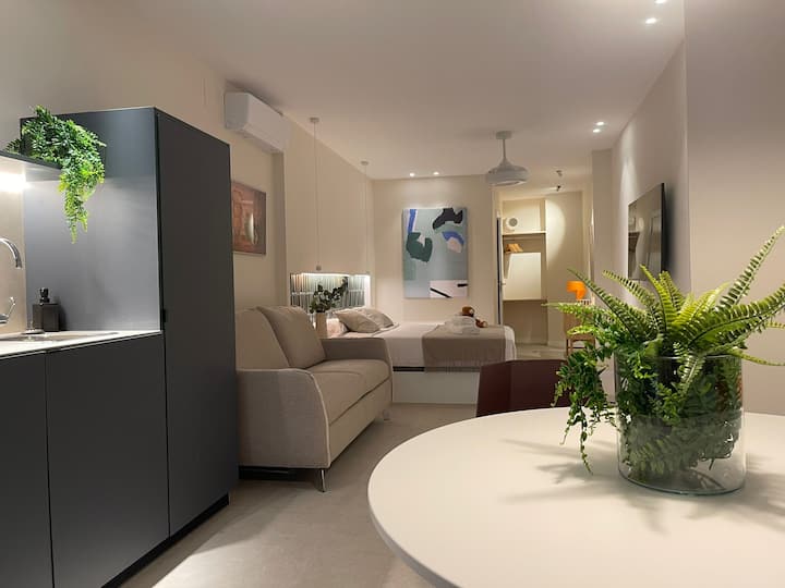 Pintor Nicolau G - New Studio For 4 Pax - Valencia