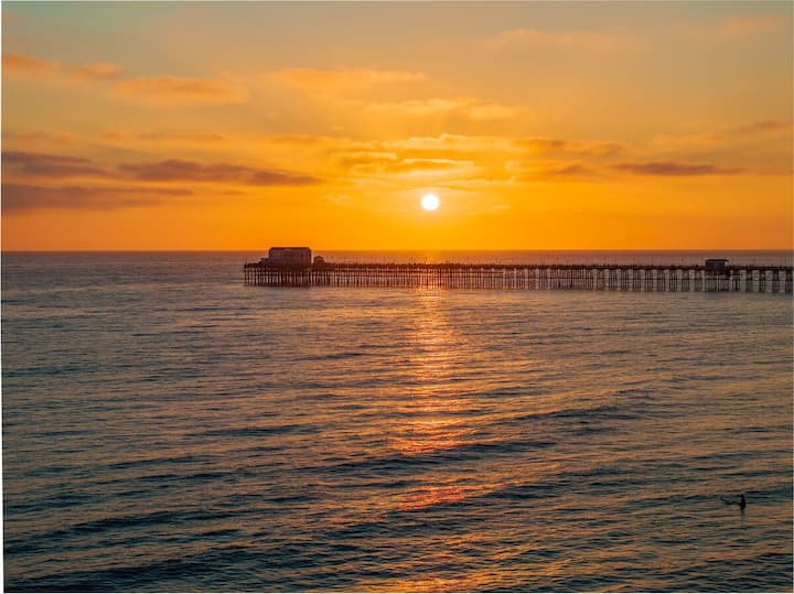 Day In Paradise - O'side Palms - Oceanside, CA