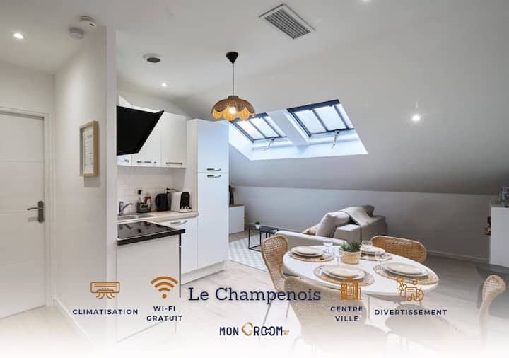 Le Champenois*central*gare*wifi*clim*5*mon Groom - Ibis budget Troyes Est