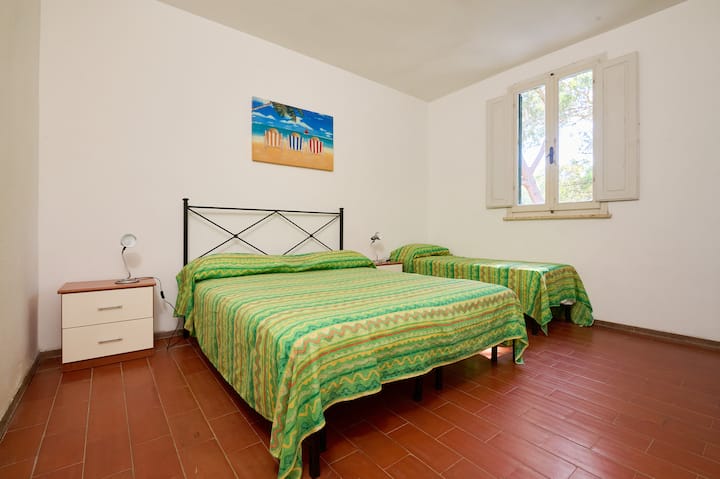 Mare Etrusco 2 - Piombino