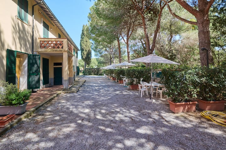 Mare Etrusco 3 - Piombino