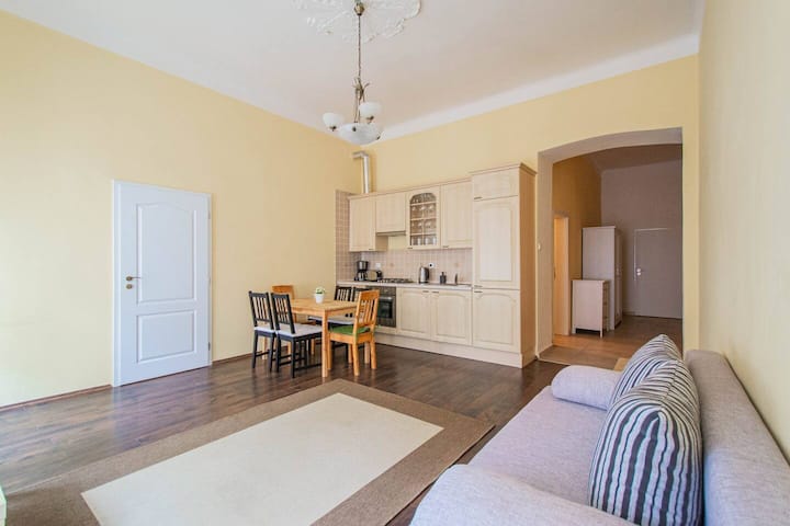 Spacious Oasis In Prague's Heart - Praga