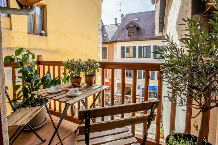 Petit Swan Rue Carnot - Ibis Annecy - Cran-Gevrier