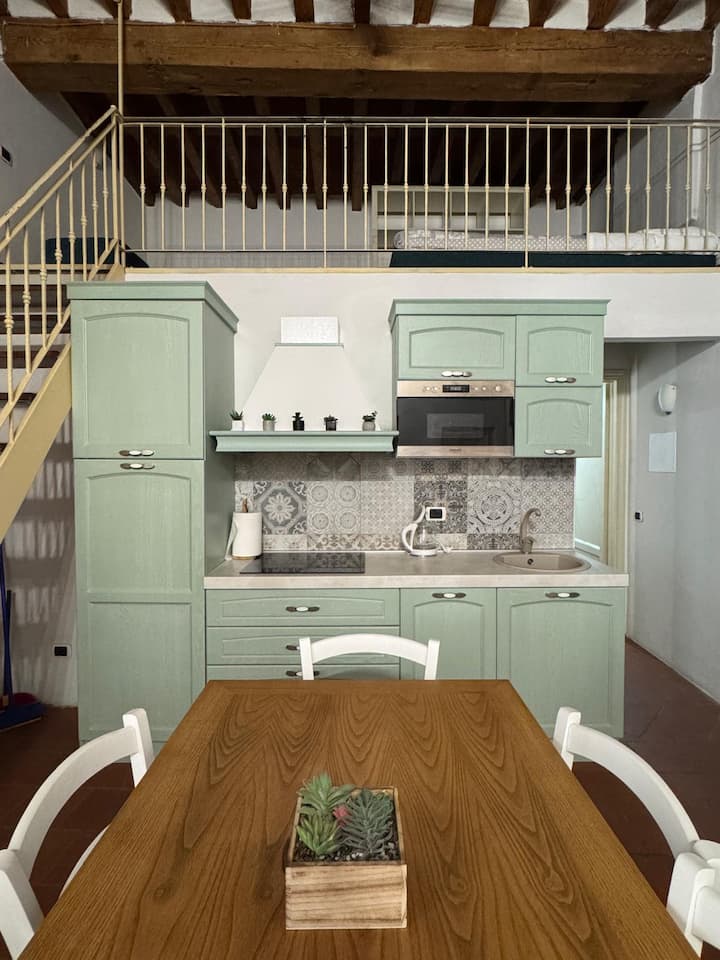 Corte Pini Deluxe Apartment Historic Center Lucca - Lucca