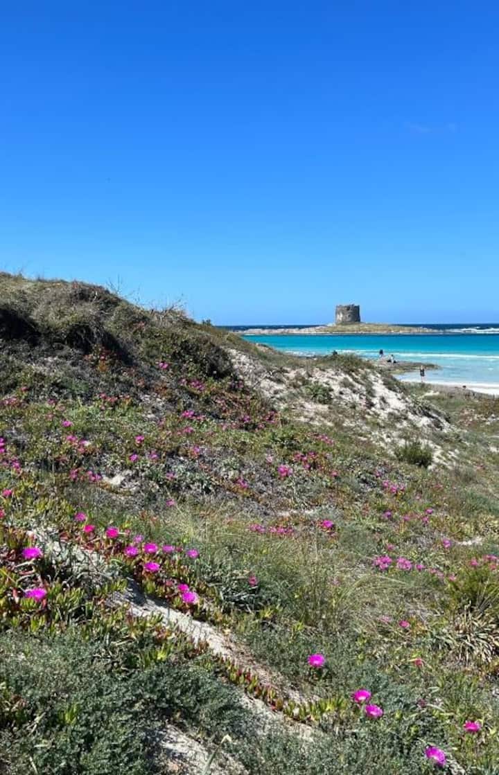 Monolocale Fronte Mare A Cala Lupo – Stintino - Stintino