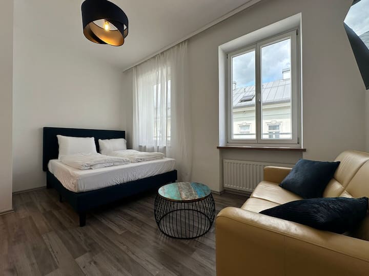Salzburg Classic Apartment - Salzburg