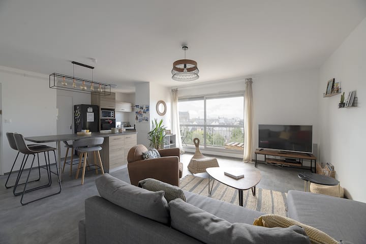 Appartement Lumineux En Hyper Centre - Rennes