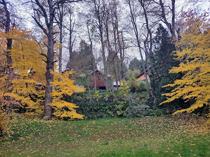 Cabaña Rodeada De Bosque Nativo Para 12 C Parrilla - San Martin de los Andes