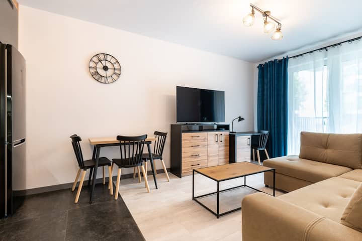Raciborska 2-bedroom Apartment - Katowice