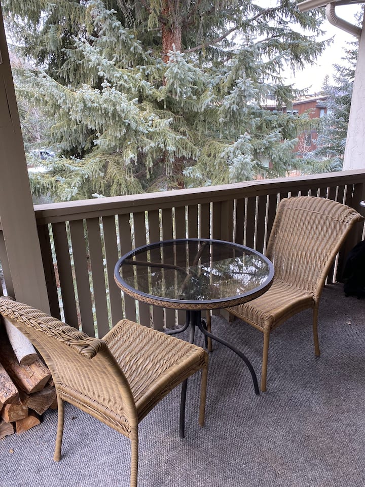 Aspen View Condo Beautiful Setting - Aspen