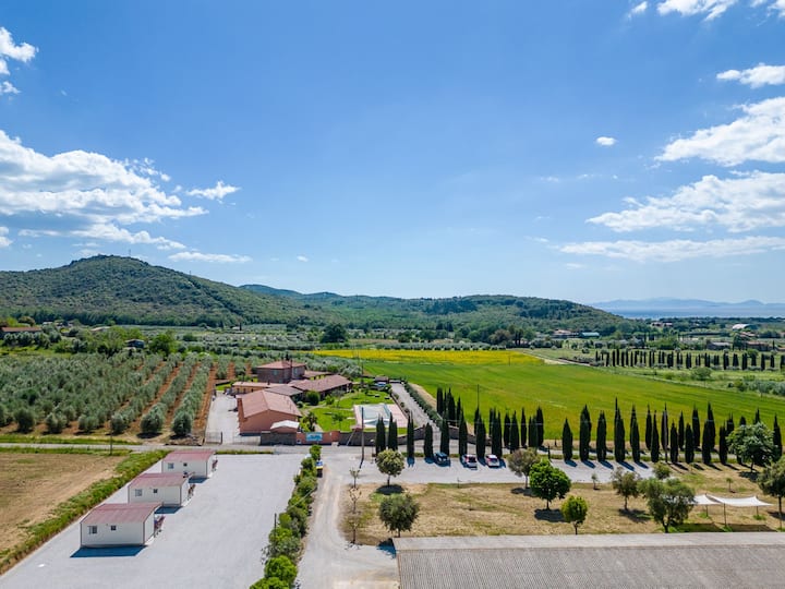 I Girasoli By Interhome - Follonica